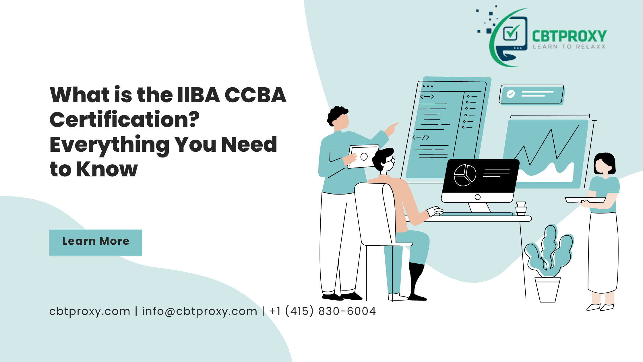 IIBA CCBA 認定資格とは何ですか? 知っておくべきことすべて • CBTPROXY