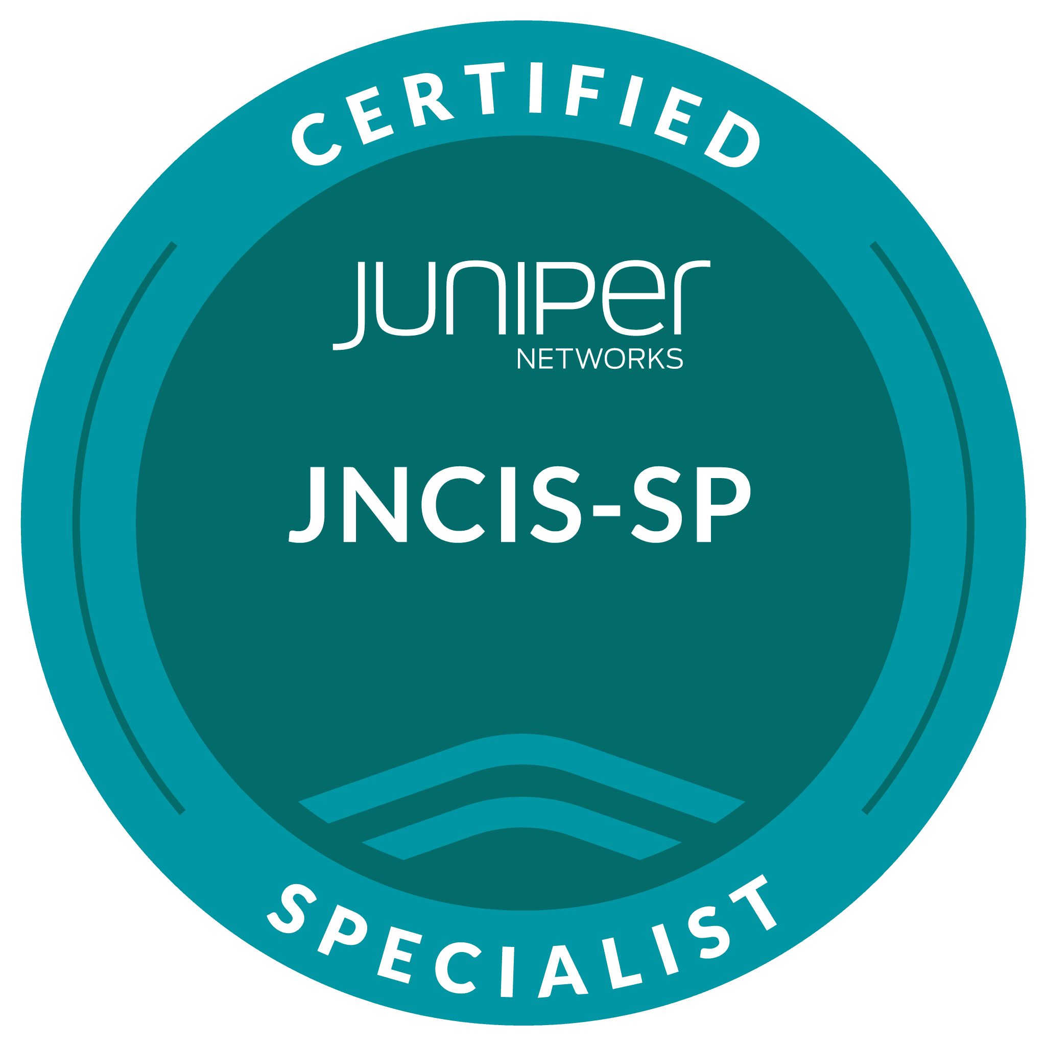 Pass Juniper JNCIS-SP JN0-363 Exam Online & Pay After Pass • CBTPROXY